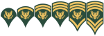 ARMY SPECIALIST RANKS – ARMY BARRACKS