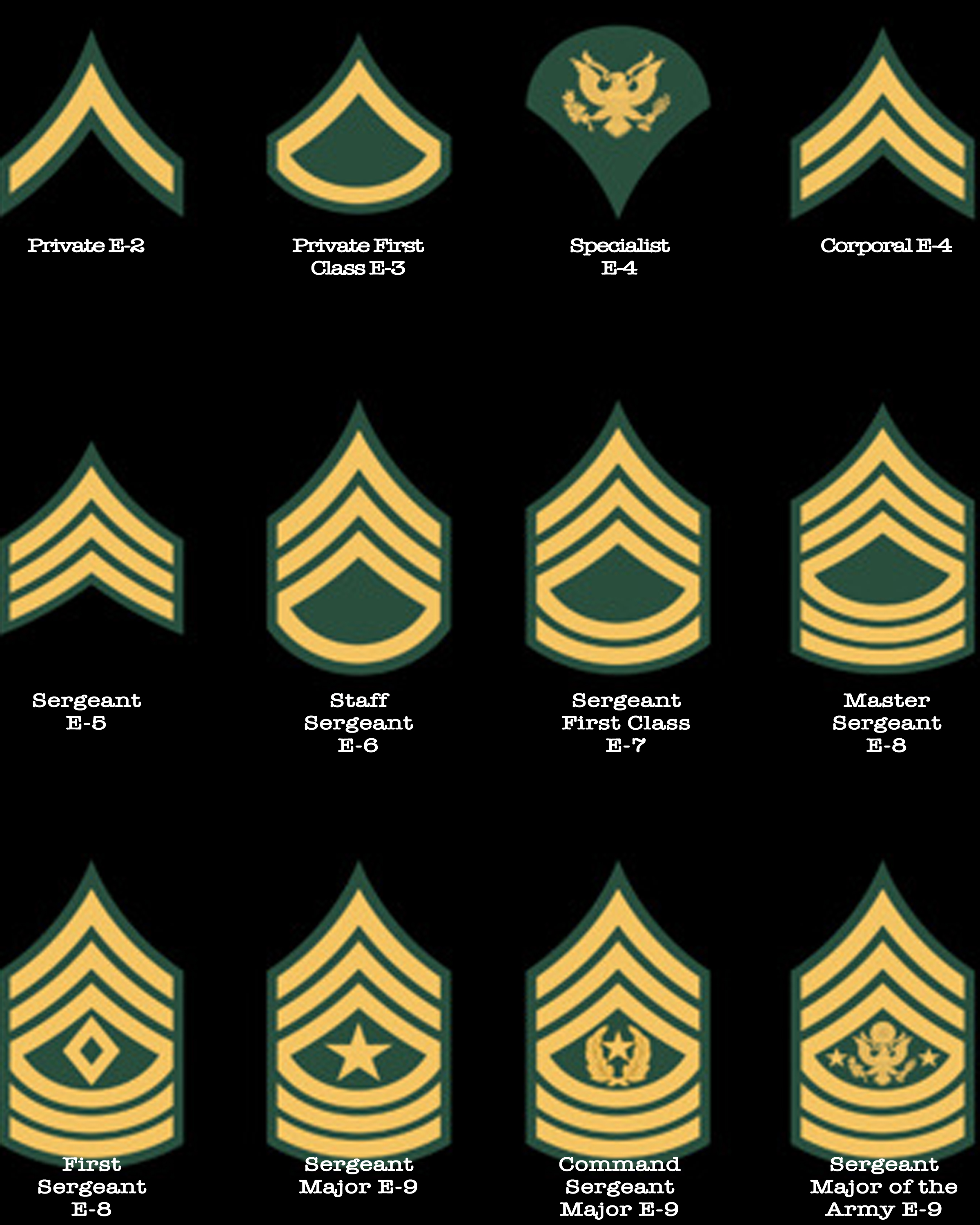 US ARMY INSIGNIA OF RANK – ARMY BARRACKS